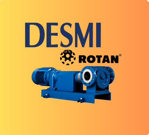 Desmi Rotan – Maximum Philippines