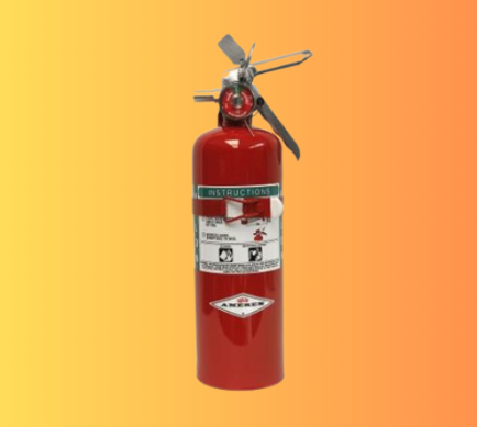 Amerex C354TS Halon 1211 Aluminum Valve – Maximum Philippines