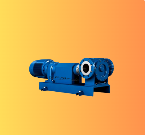 Desmi Rotan – Maximum Philippines