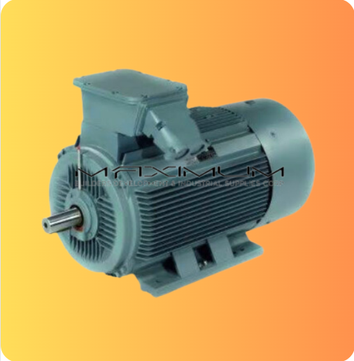 IEC Standard electric motor low voltage dmw1 series -marathon – Maximum ...