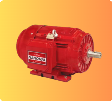 Totally Enclosed Fan Cooled Motor – Maximum Philippines